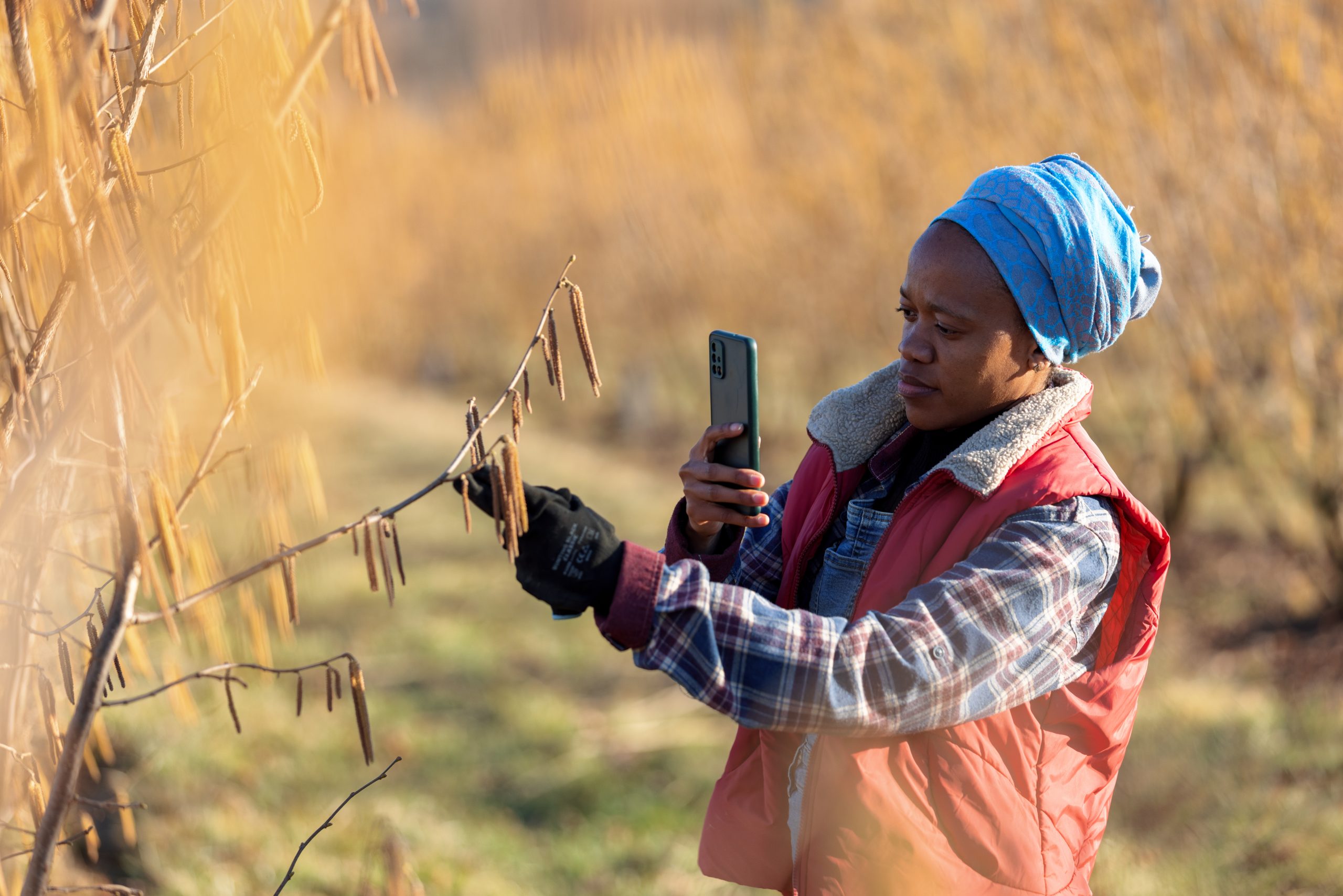 Creating a Publishing Platform for Economic and Social Development ...